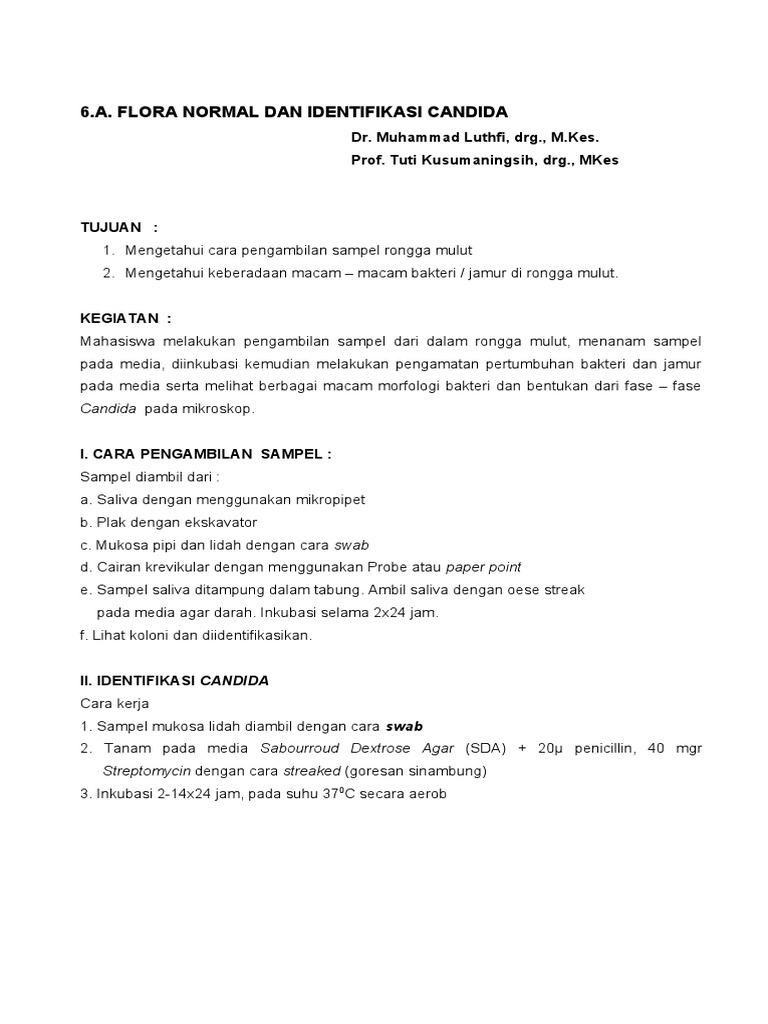 6.a. Flora Normal Dan Identifikasi Candida | PDF