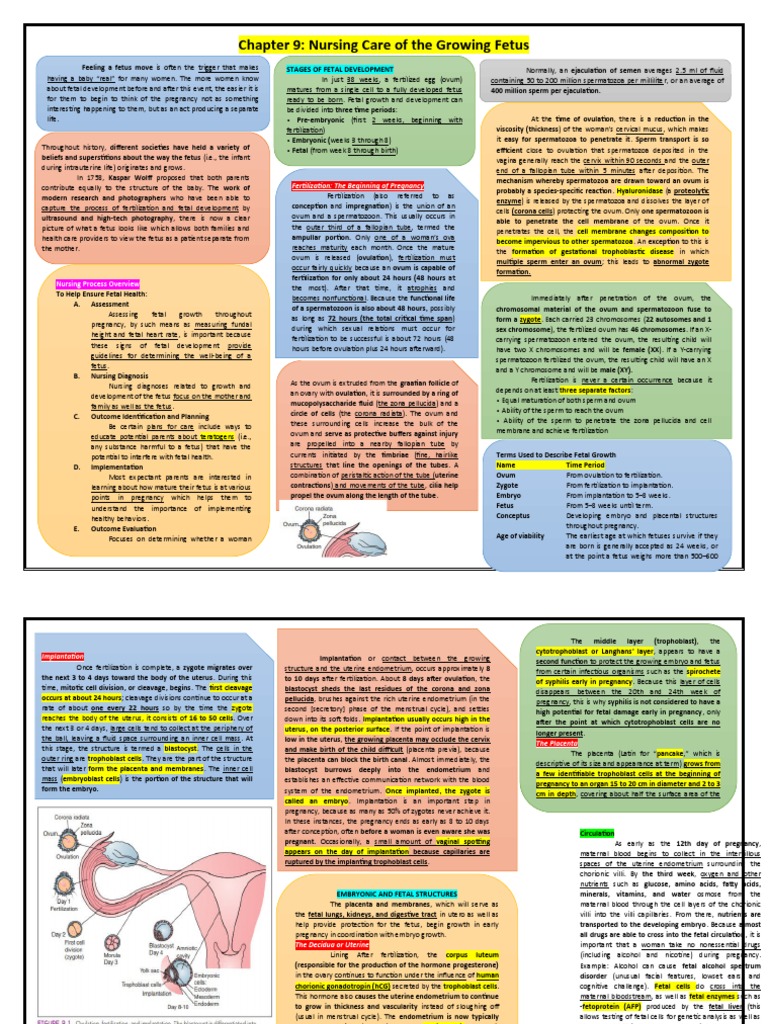Fetal Development Nursing Care | PDF | Implantation (Human Embryo ...