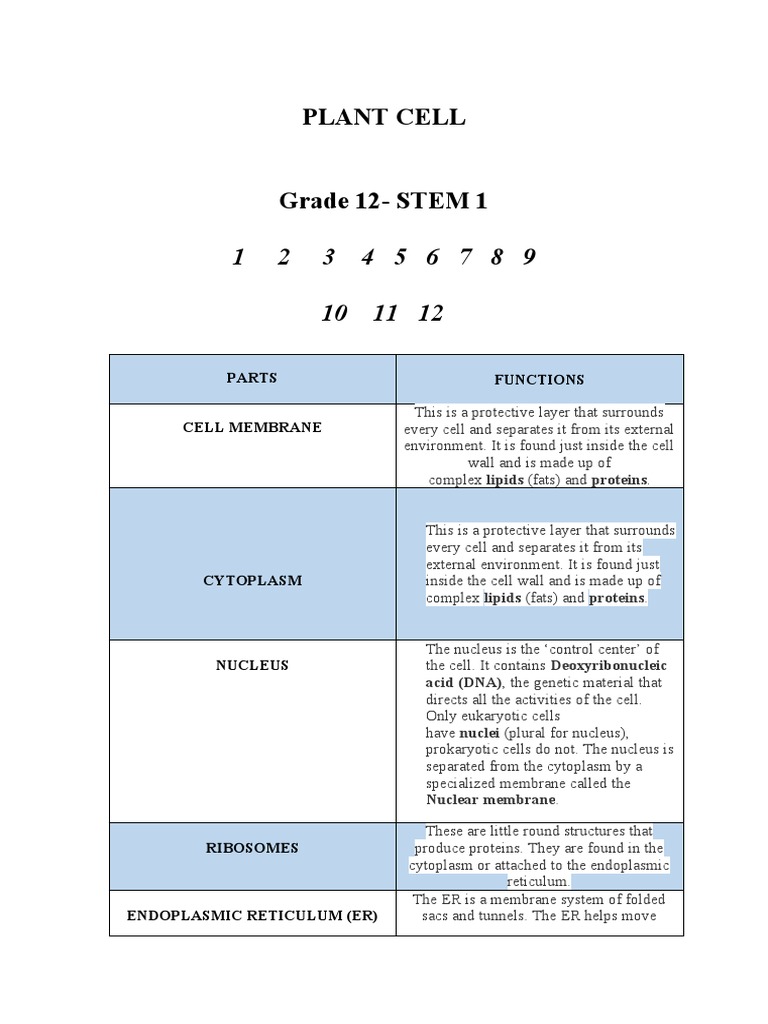 Plant Cell: Parts Functions Cell Membrane | Download Free PDF ...