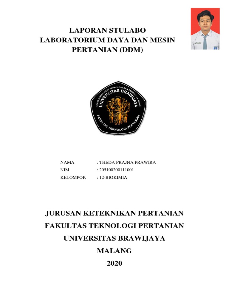 DDM Laporan | PDF