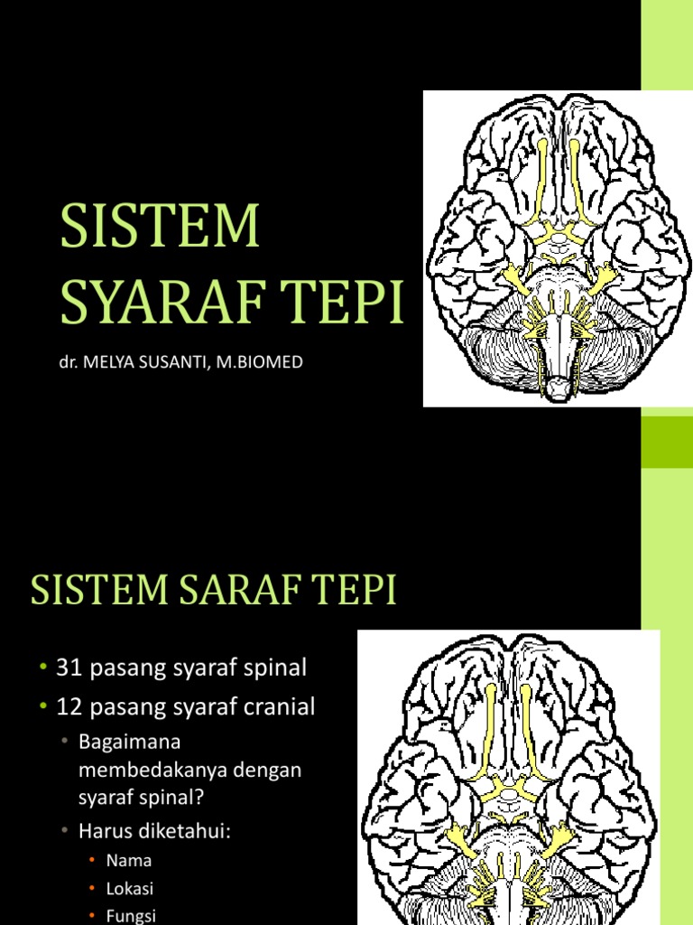 Sistem Saraf Perifer Edit | PDF