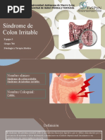 CISTOCLISIS | PDF | Vejiga urinaria | Orina