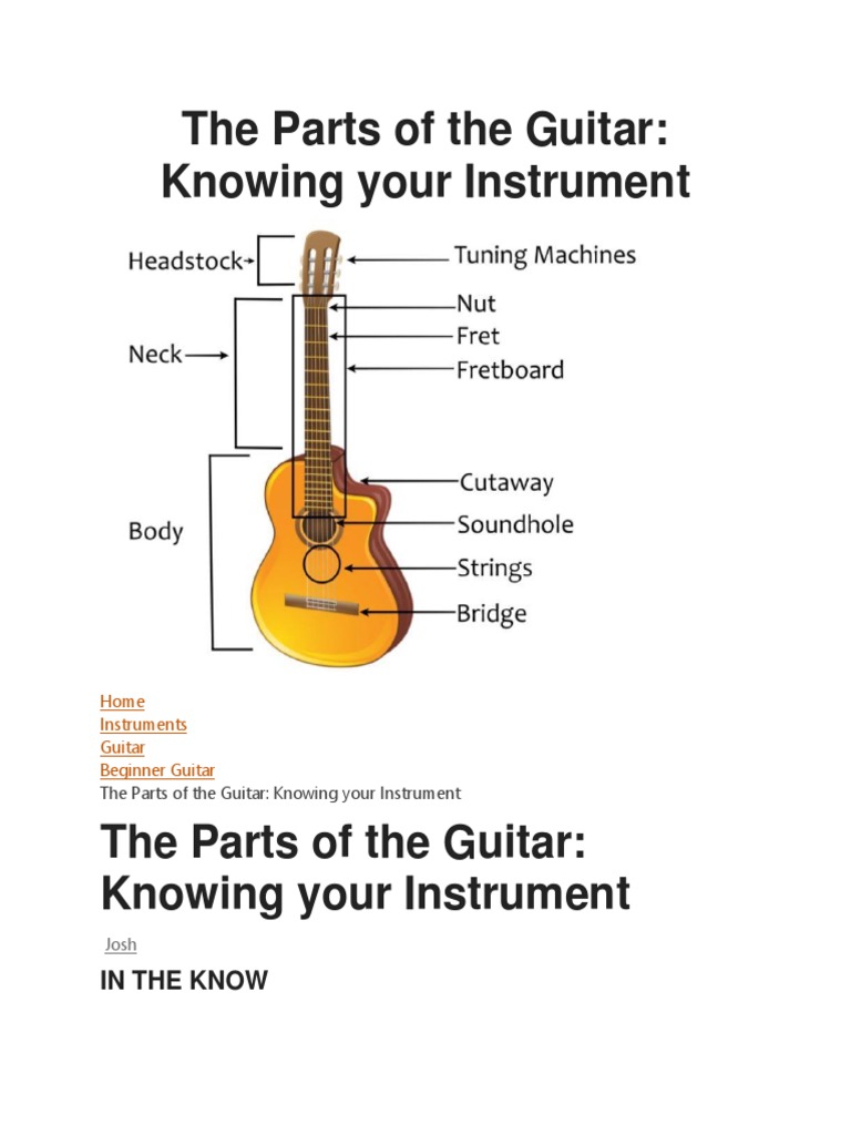 Learning The Parts of The Guitar | PDF | Guitars | Chordophones