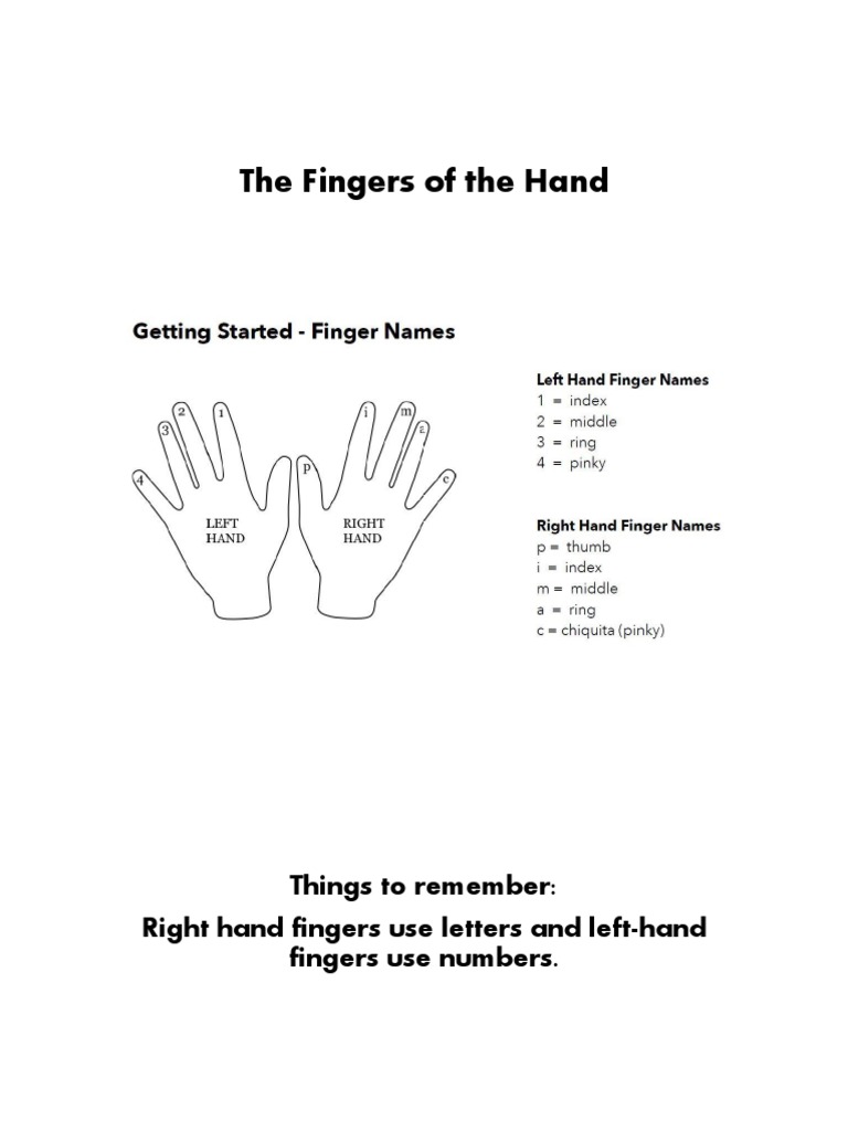 Fingers of The Hand | PDF