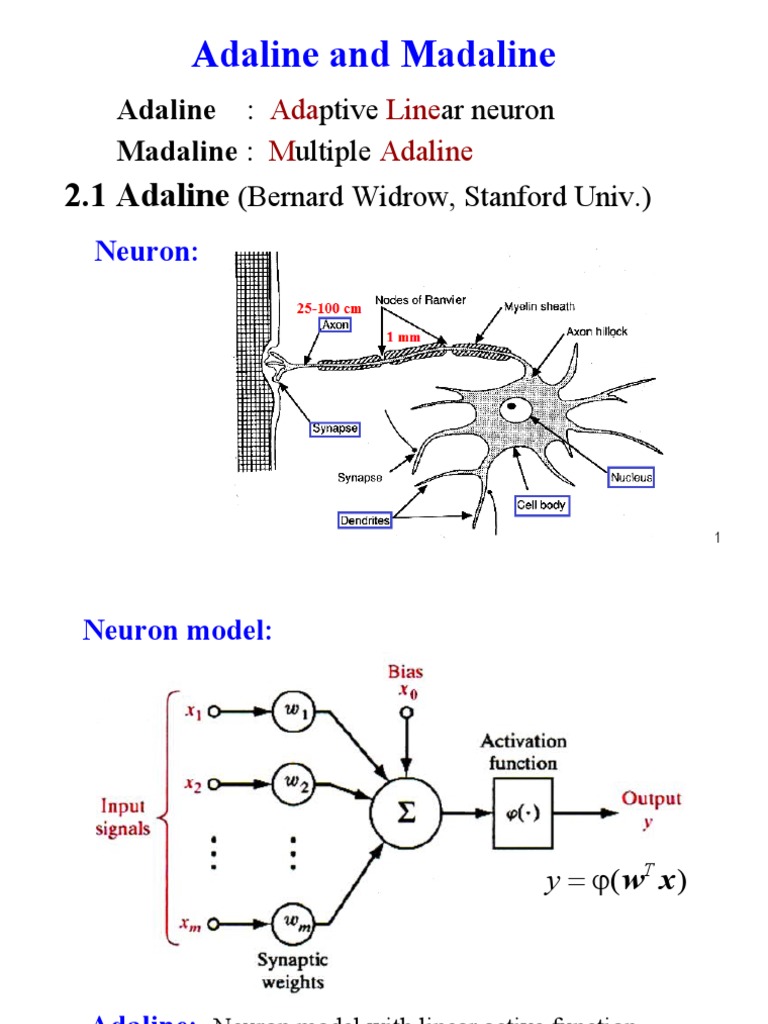 ANN - Ch2-Adaline and Madaline | PDF | Cybernetics | Algorithms And ...