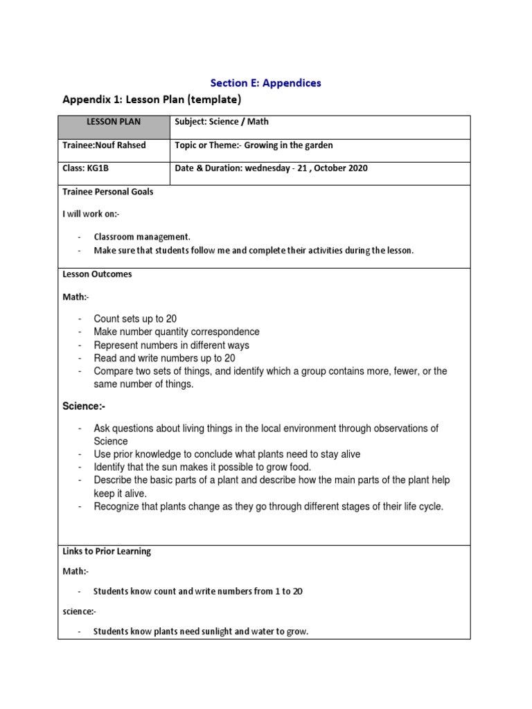 Appendix 1: Lesson Plan (Template) : Section E: Appendices | PDF ...