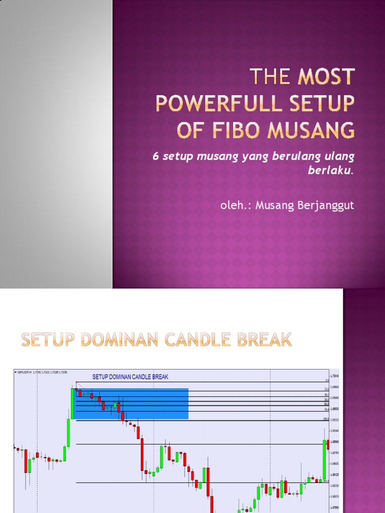FMCBR - Powerful Setup PDF | PDF