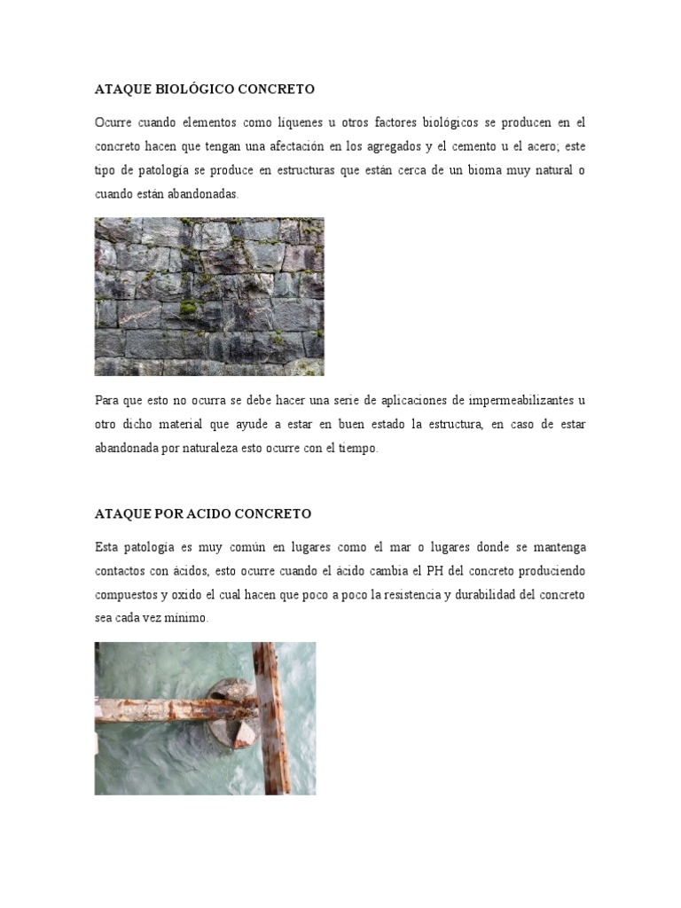 Ataque Biológico Concreto | PDF