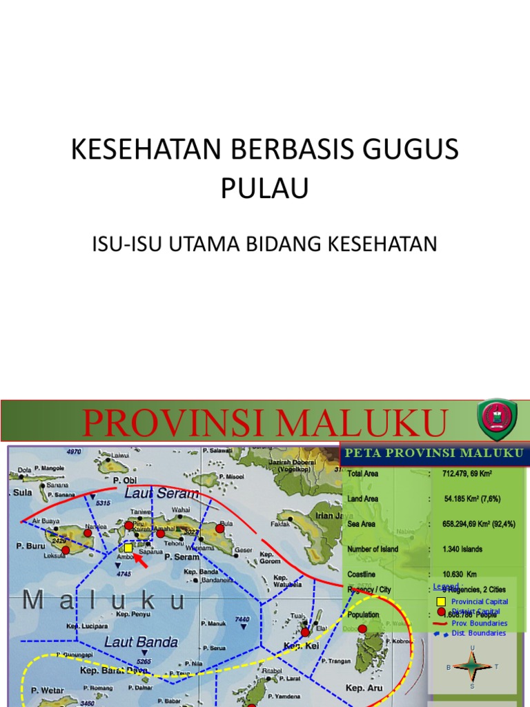 Kesehatan Berbasis Gugus Pulau Maluku | PDF