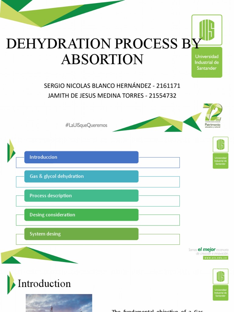 Dehydration Process by Absortion | PDF | Chemical Engineering ...