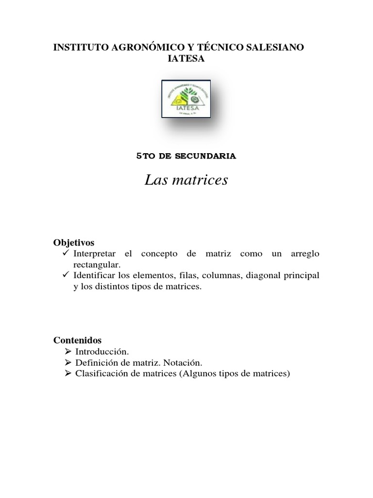 Elementos de Una Matriz y Tipos de Matrices | PDF | Matriz (Matemáticas ...