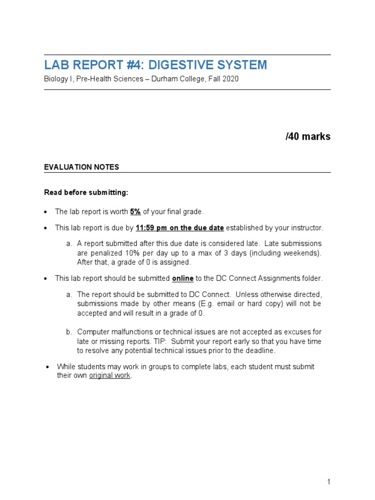 Digestive System Lab Report Guide | PDF | Digestion | Bile