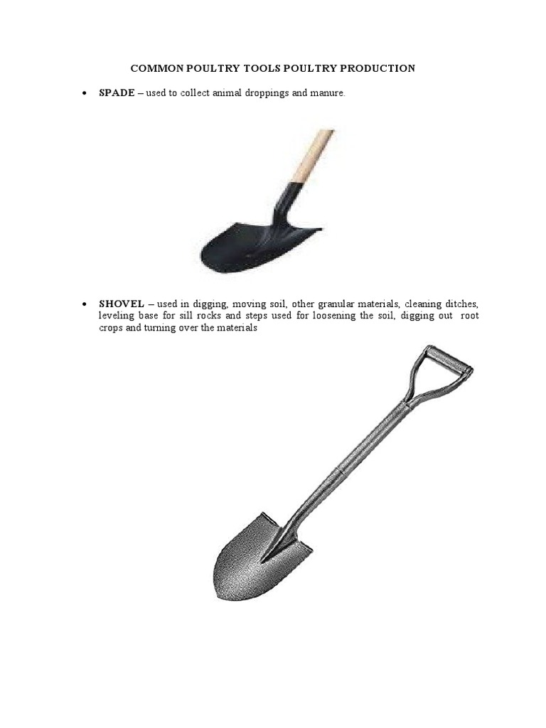 Common Poultry Tools Poultry Production | PDF | Poultry Farming | Birds