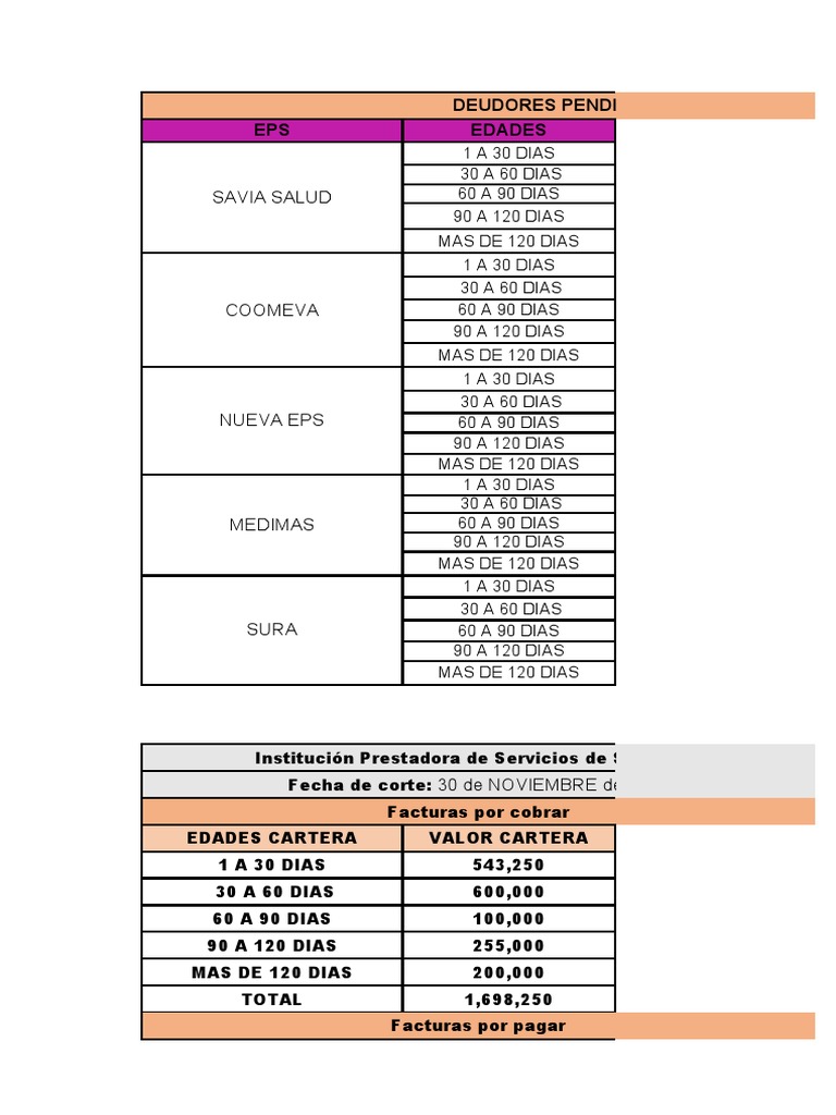 Actividad 4 - Evidencia 2. Documento Informe de Cartera. | PDF | Business