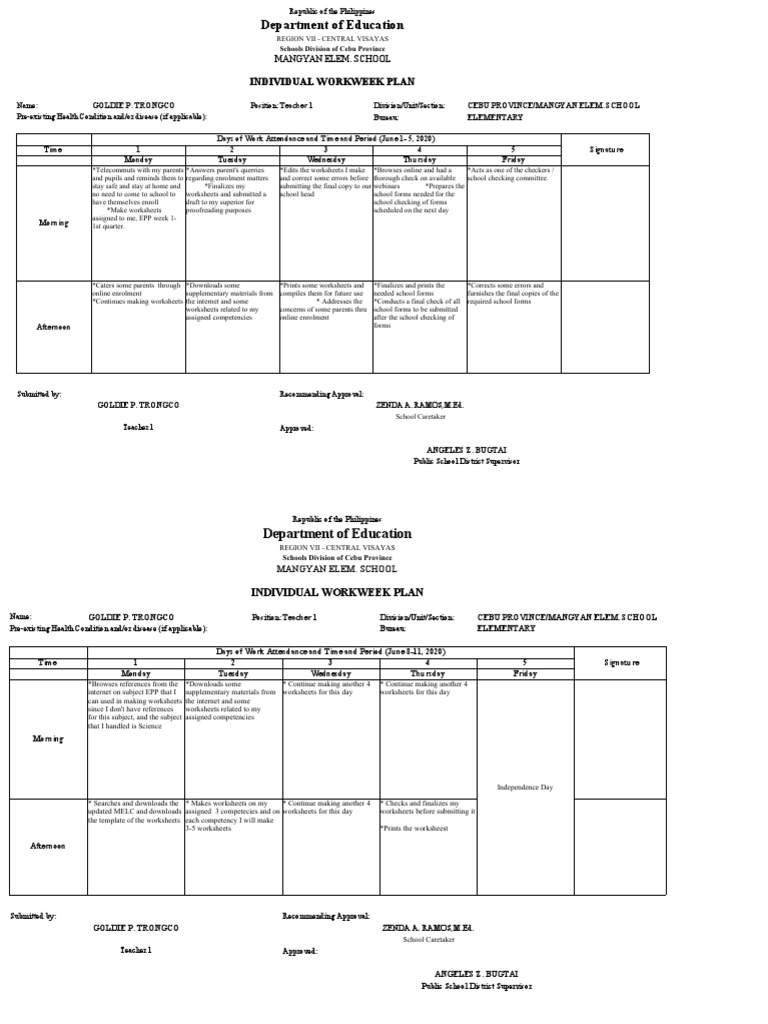 Individual Workweek-Plan | PDF | Workweek And Weekend | Behavior Modification