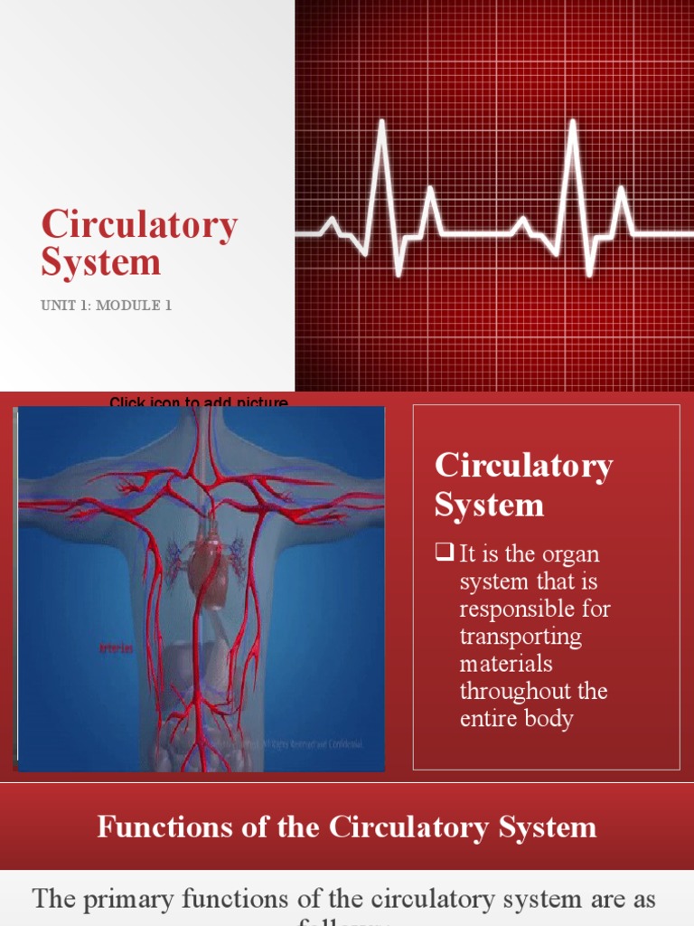 Circulatory System: Unit 1: Module 1 | PDF | Artery | Heart