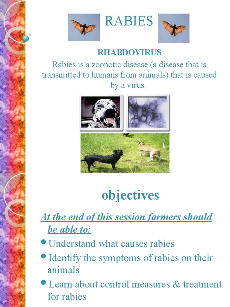 Rabies: Rabies Is A Zoonotic Disease (A Disease That Is Transmitted To ...