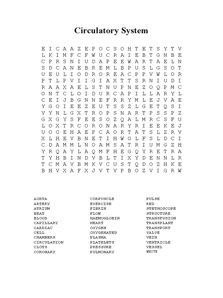 Circulatory System Word Find | PDF | Circulatory System | Heart