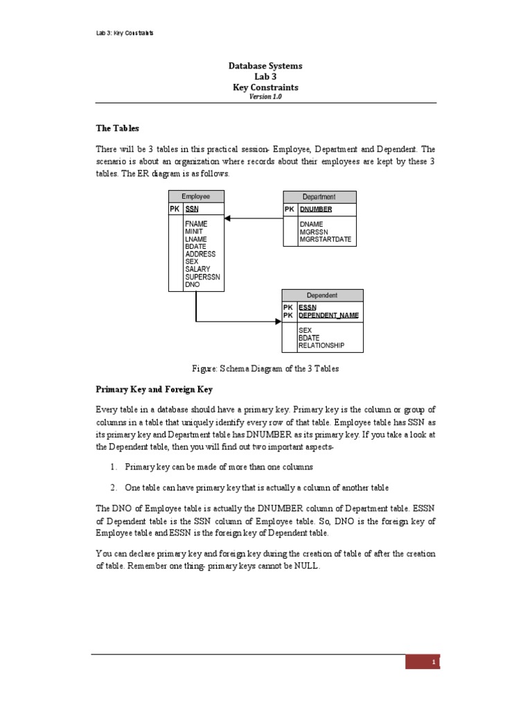 Database Systems Lab 3 Key Constraints | PDF | Table (Database) | Data Management Software