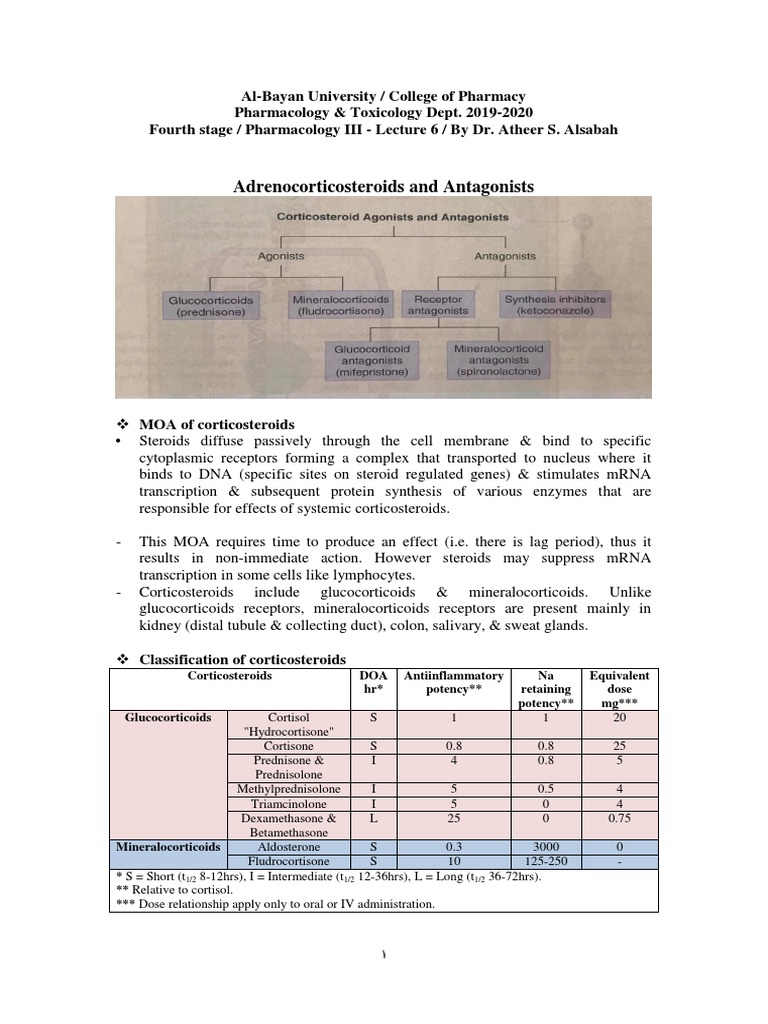 Adrenocorticosteroids: Mechanisms & Uses | PDF | Cortisol | Adrenal Gland