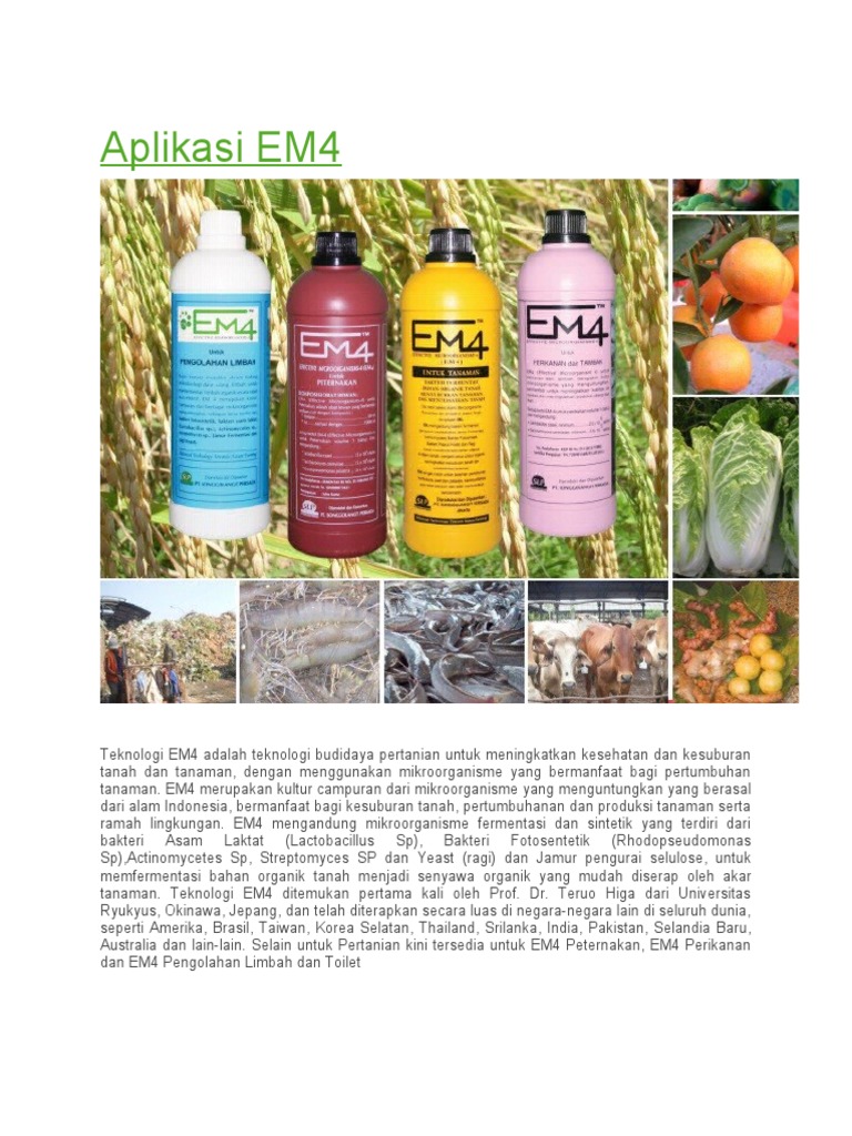 Aplikasi Fermentasi EM4 | PDF