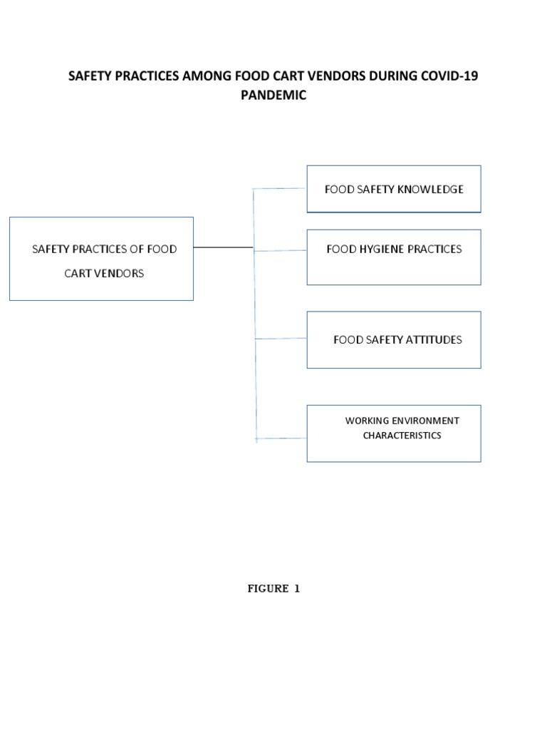 Conceptual Frameworks of Safety Practices | PDF | Food Safety ...