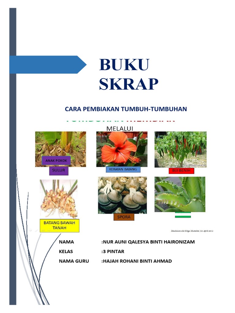Kulit Buku Skrap | PDF