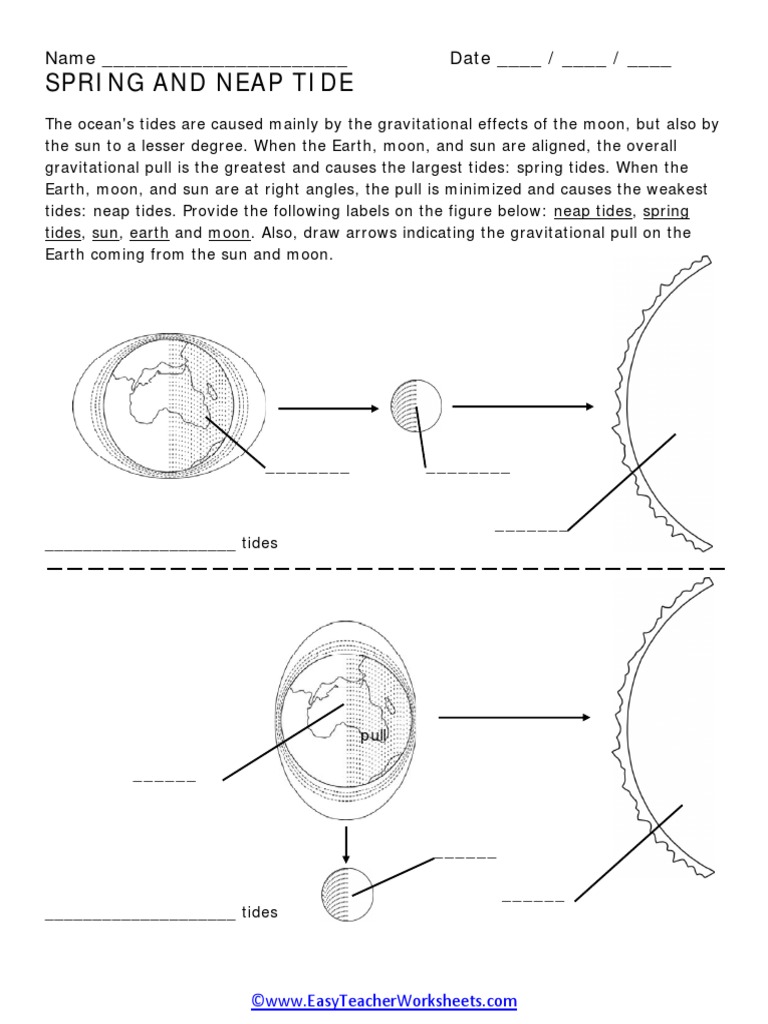 Spring and Neap Tide: Name - Date | PDF