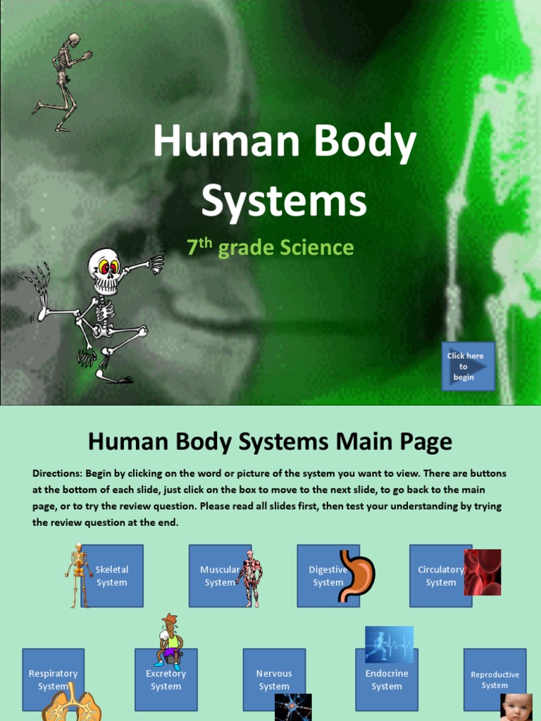 Human Body Systems: 7 Grade Science | PDF | Human Body | Lung