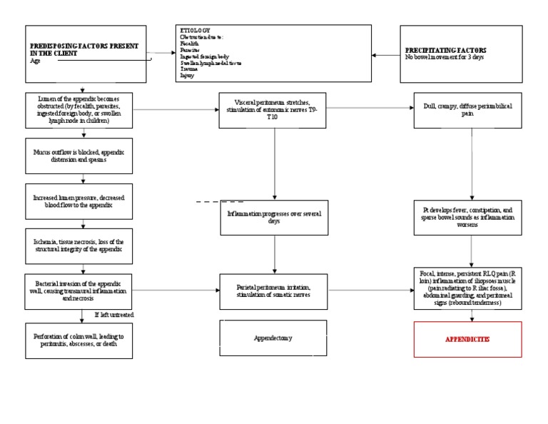 Appendicitis Pathophysiology | PDF | Peritoneum | Physiology