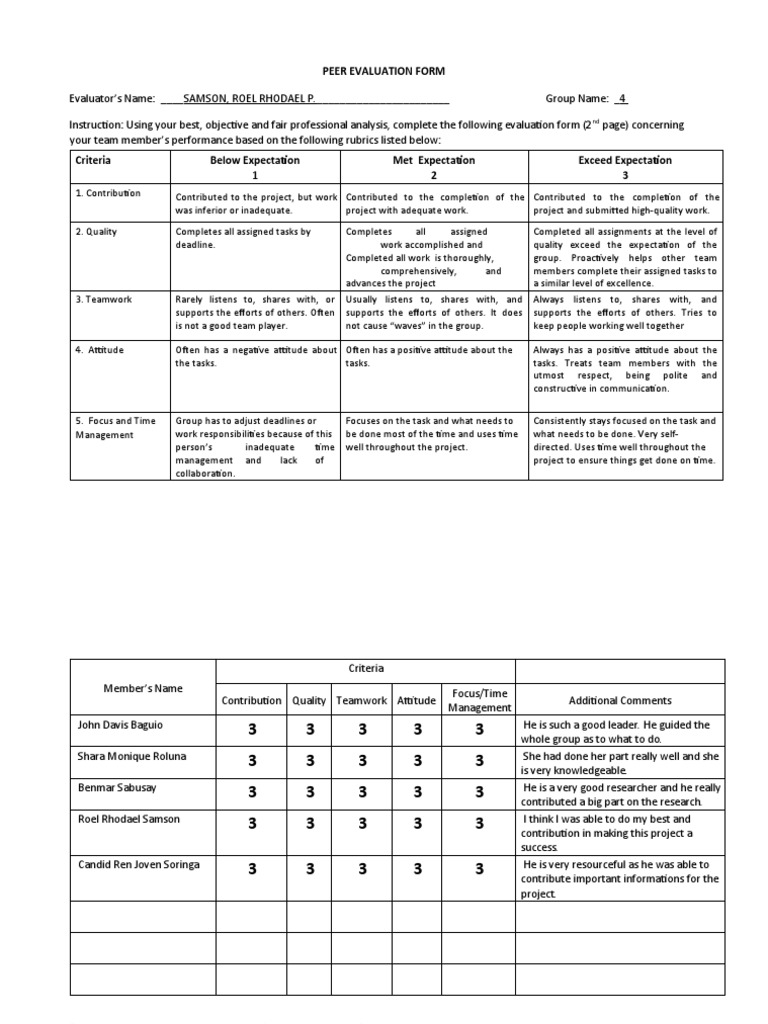 Peer Evaluation Form | PDF | Behavioural Sciences | Psychology