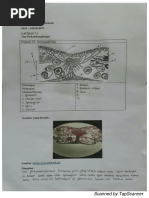 Scan Sampling | PDF | Sampling (Statistics) | Sampling (Signal Processing)