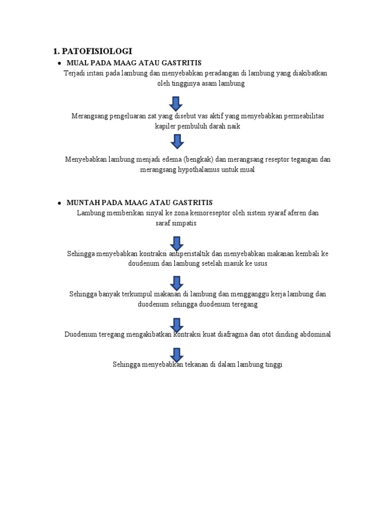 Patofisiologi Mual Muntah | PDF