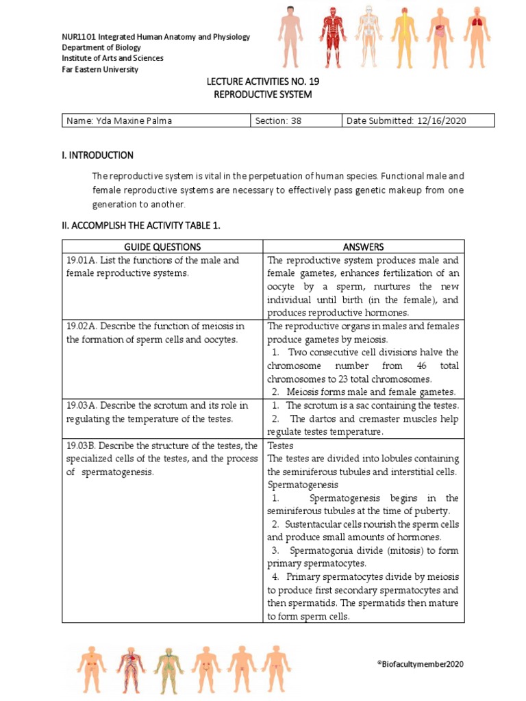 NUR11O1 Integrated Human Anatomy and Physiology Department of Biology ...