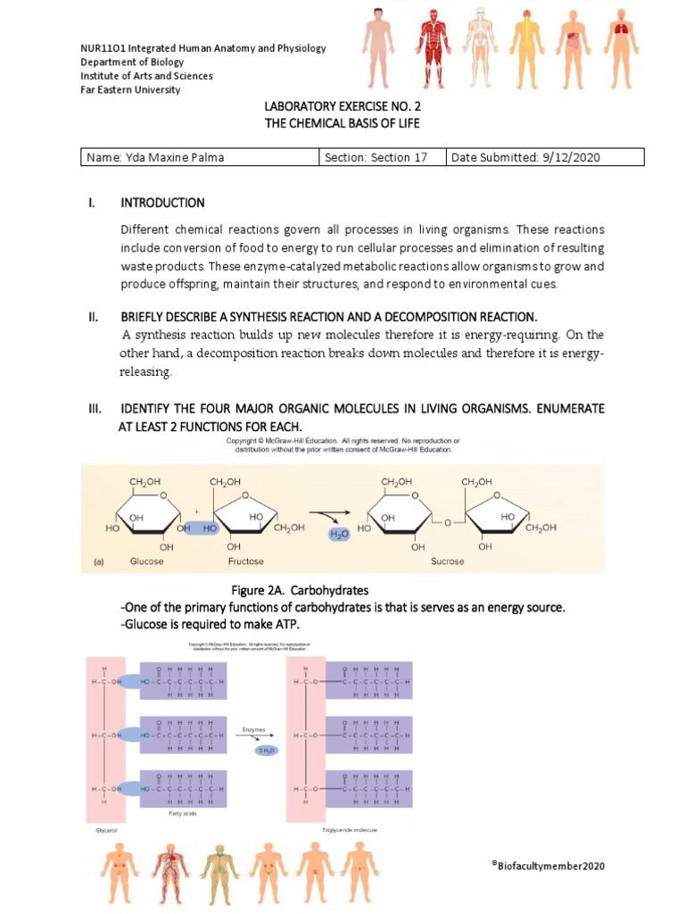 NUR11O1 Integrated Human Anatomy and Physiology Department of Biology ...