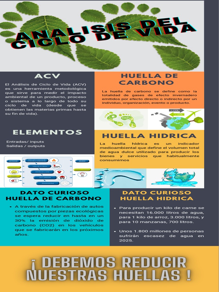 Anexo 9 Infografia Analisis Del Ciclo de Vida | PDF