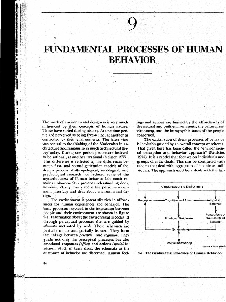 Fundamental Human: Processes of Behavior | PDF | Perception | Motivation