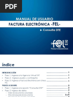 Manual de Usuario Emision Masiva de DTE | PDF | Software | Informática
