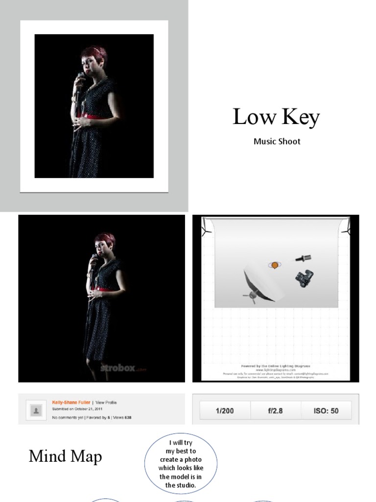 Low Key Music Shoot-2 | PDF