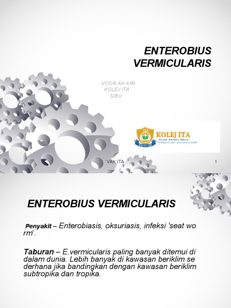 Enterobius Vermicularis | PDF