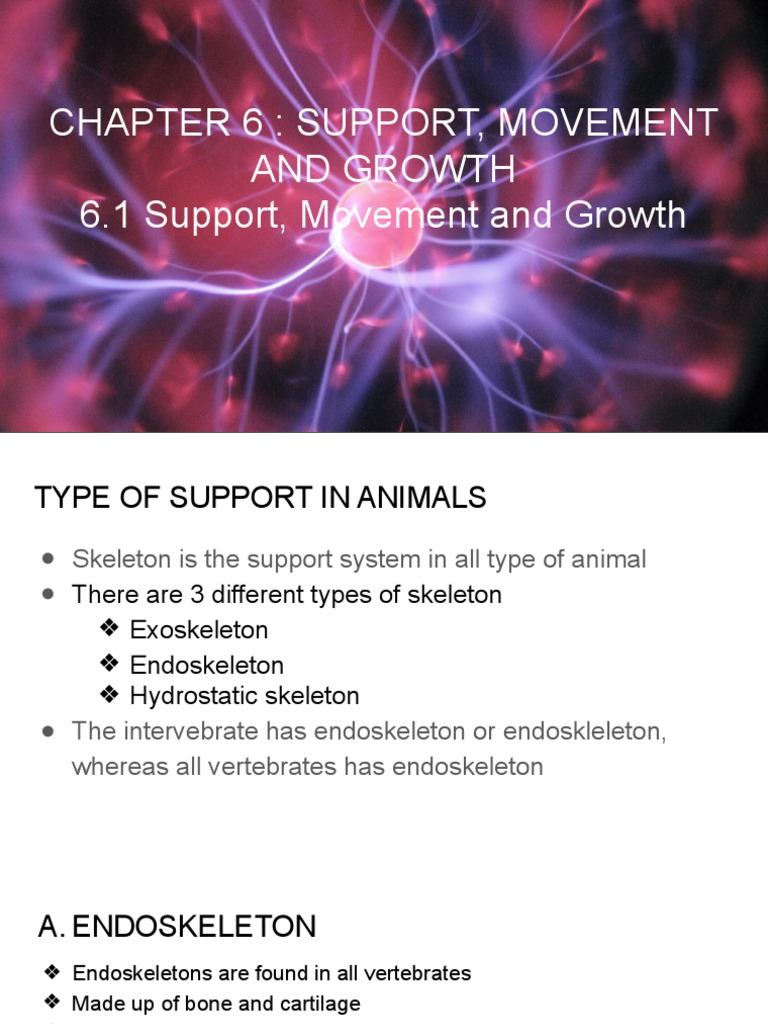 6.1 Support, Movement & Growth | PDF | Skeleton | Vertebral Column