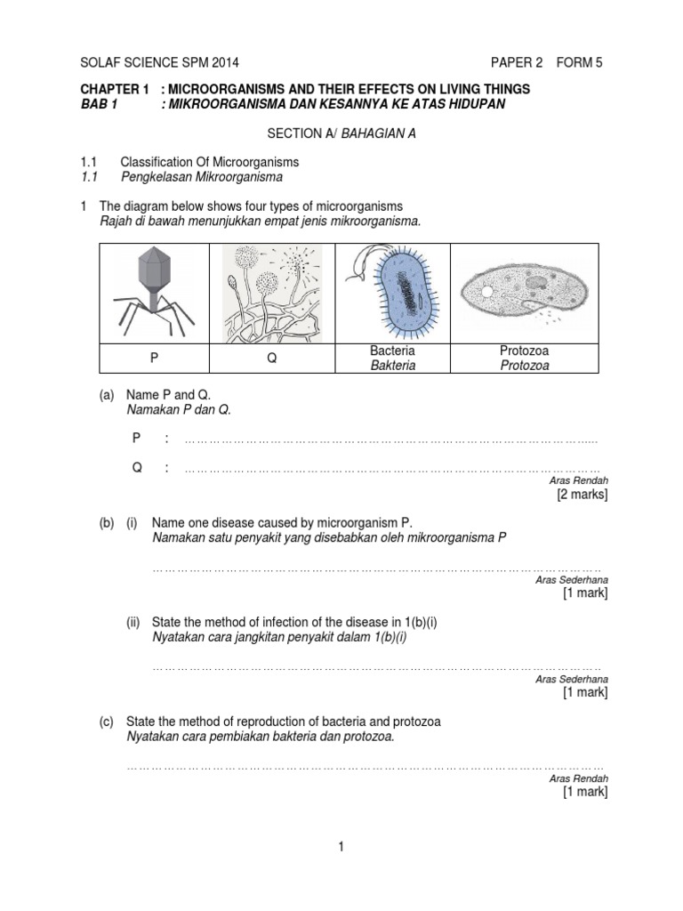Chapter 1 Paper 2 | PDF