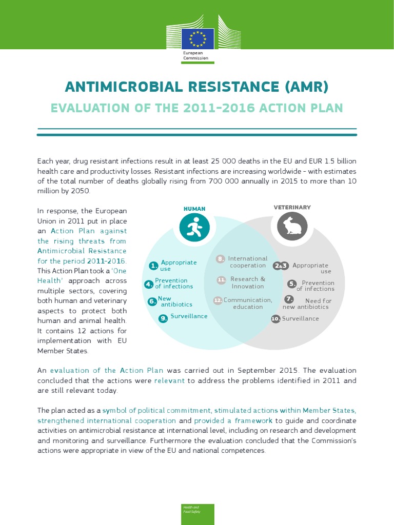 Amr Evaluation 2011-16 Factsheet | PDF