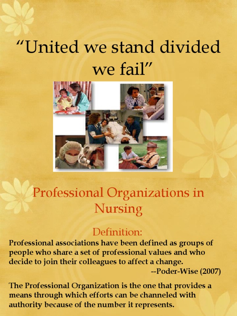 United We Stand Divided We Fail | PDF | Nursing | World Health Organization