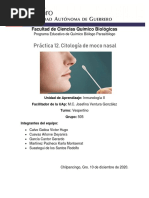 Eosinófilos en Moco Nasal | PDF | Alergia | Anatomía