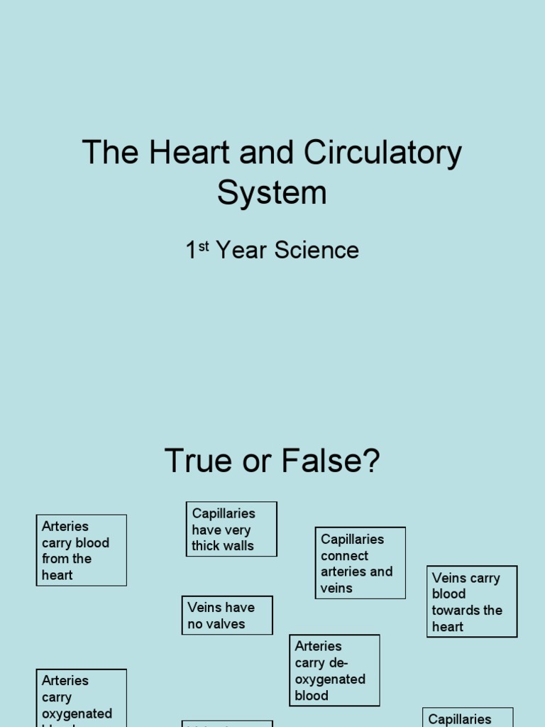 Heart and Circulatory System Overview | PDF