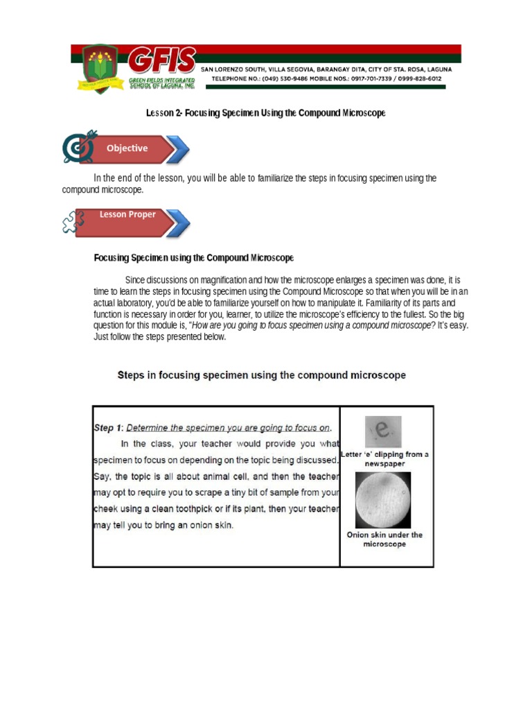 Lesson 2 - Focusing Specimen Using The Compound Microscope | PDF ...