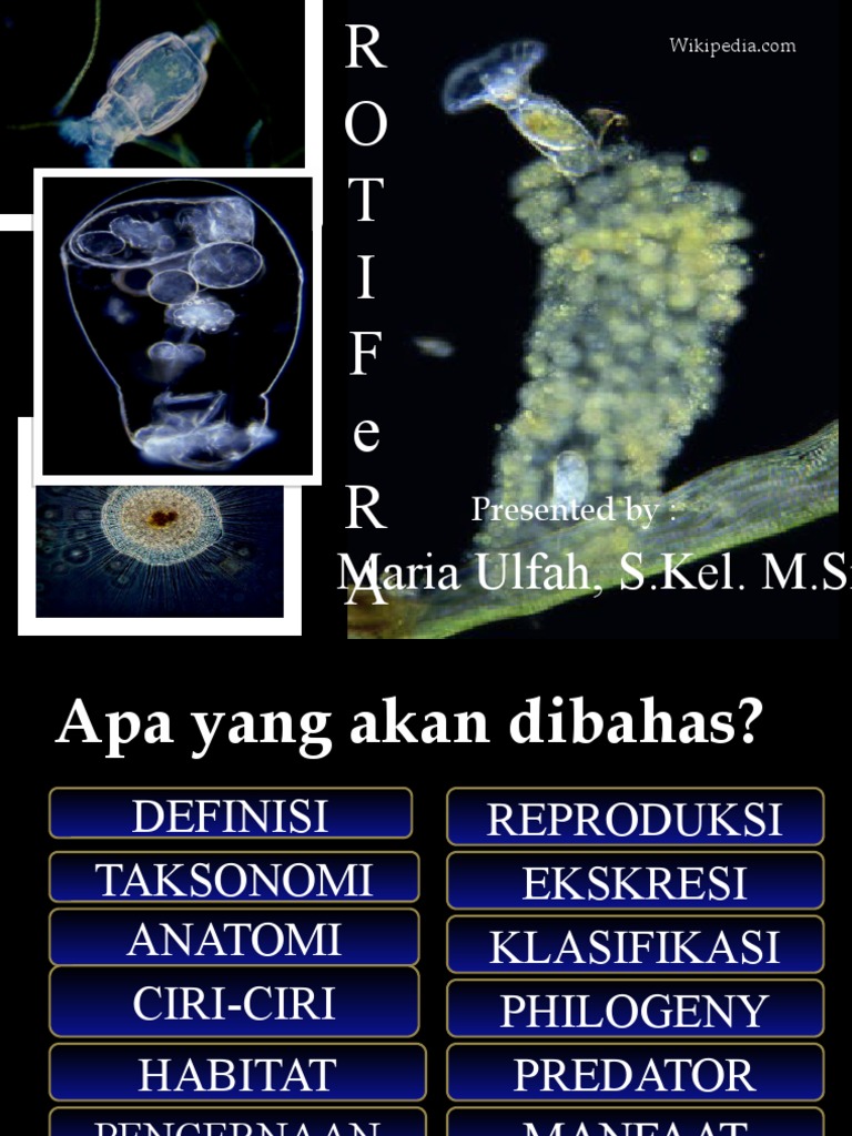 Filum Rotifera | PDF