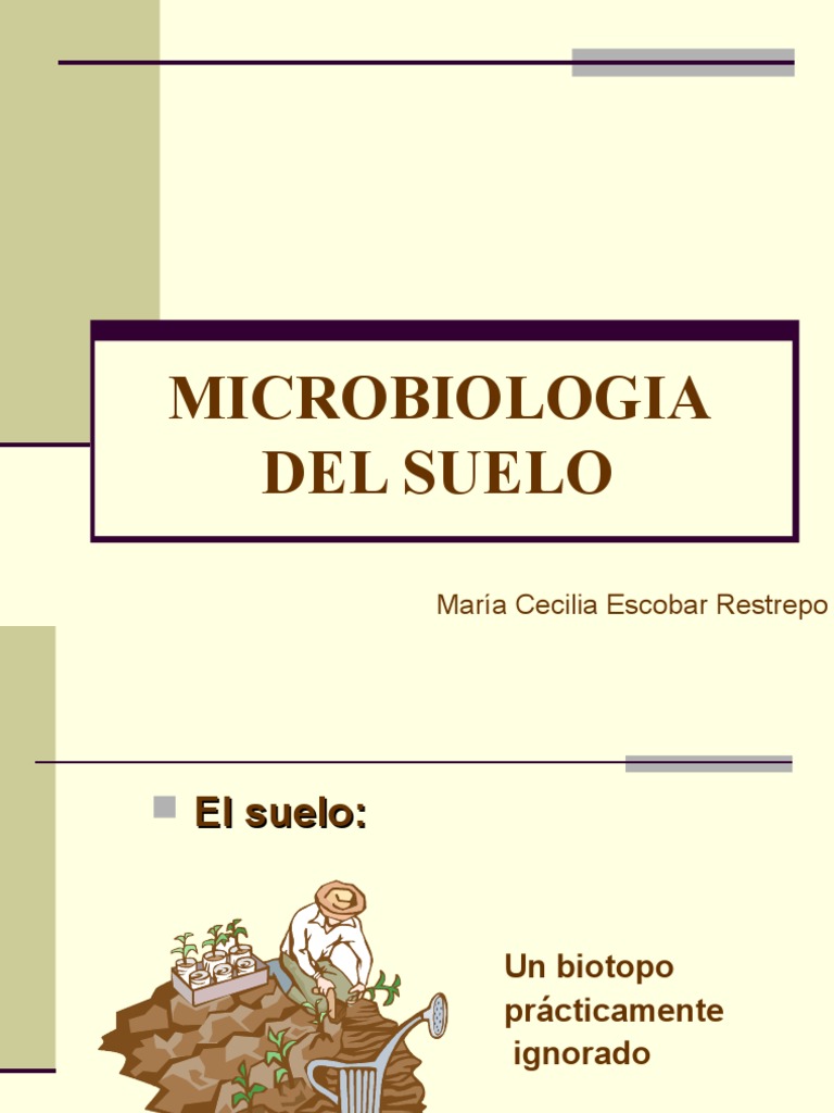 Microbiolog A Del Suelo | PDF | Suelo | Microorganismo