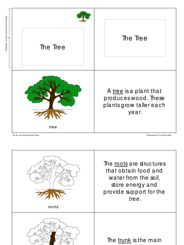 Tree Parts and Nomenclature Guide | PDF
